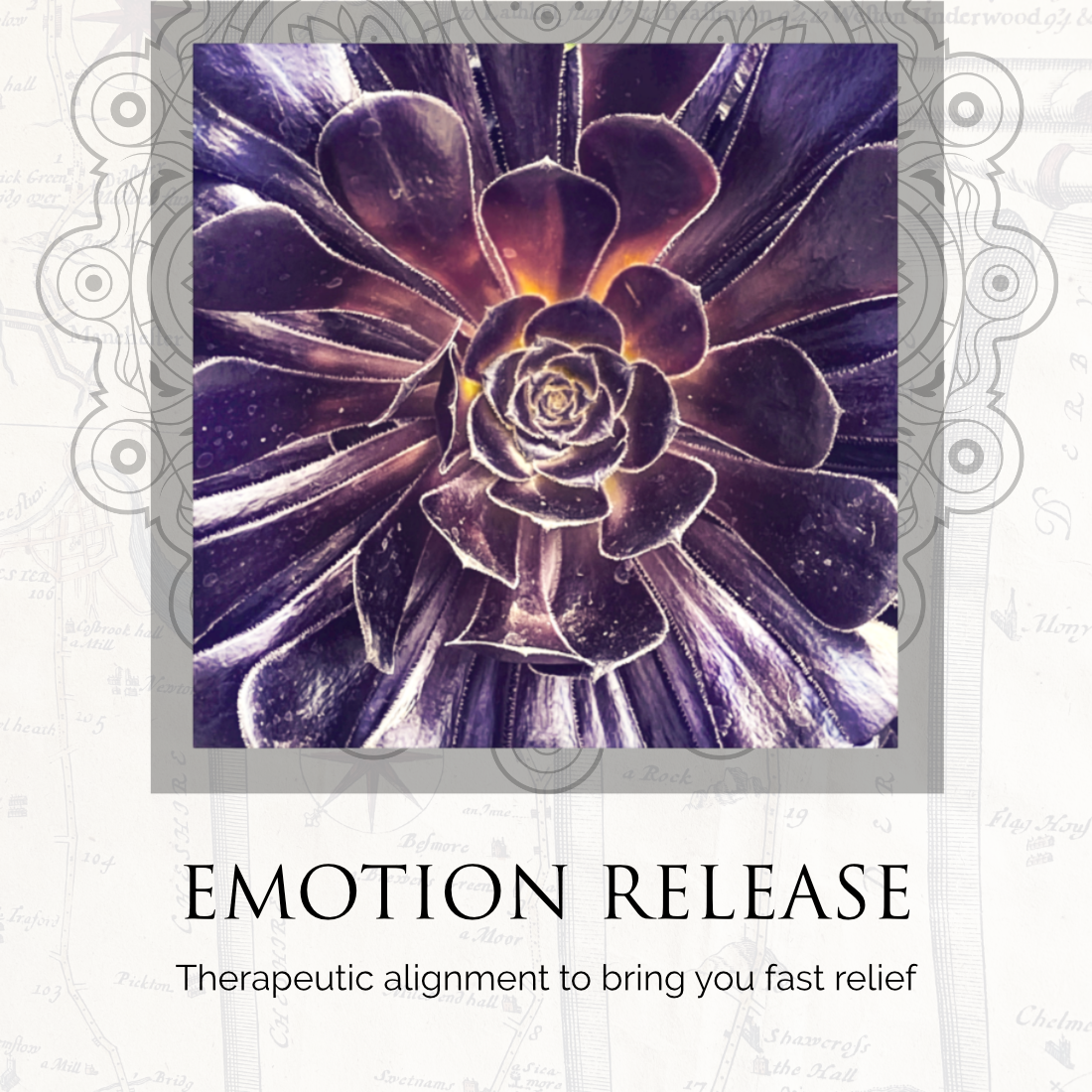 Emotion Release ~ 60-75 min. personal Zoom session – Spirit Carrier