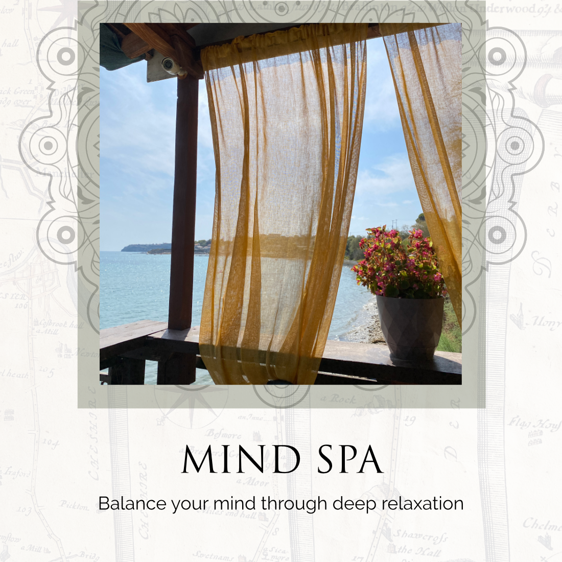 Mind Spa ~ 1 hour personal Zoom session – Spirit Carrier